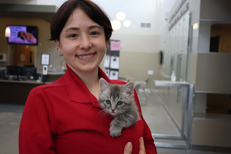 Careers at the Ottawa Humane Society