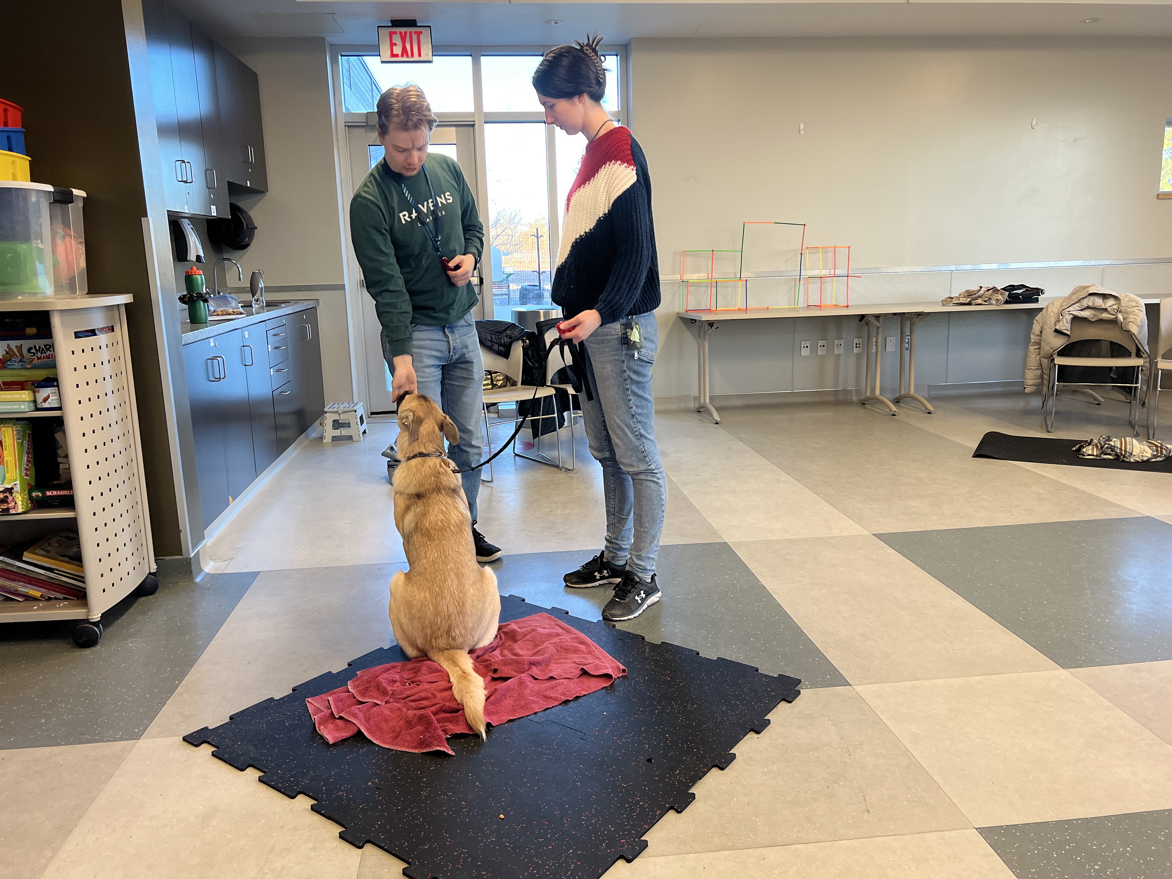 Group Dog Training - Ottawa Humane Society