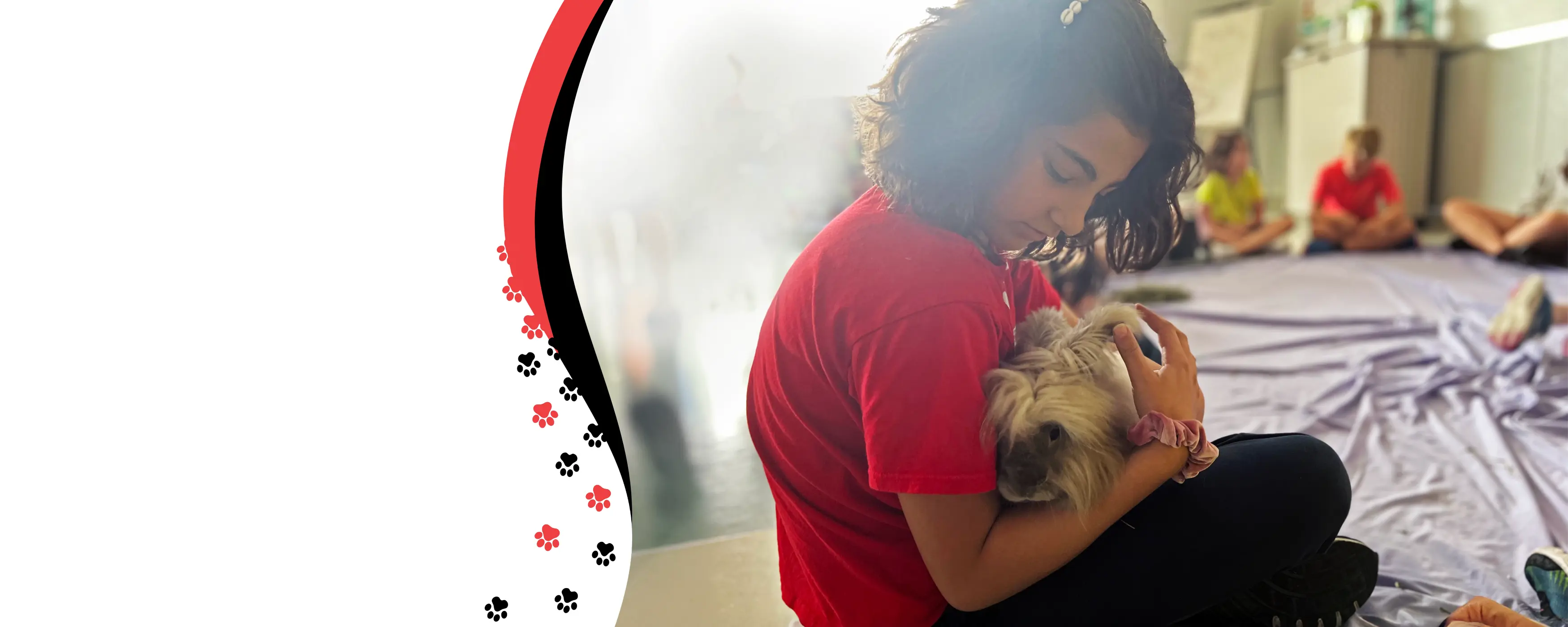 Programs - Ottawa Humane Society