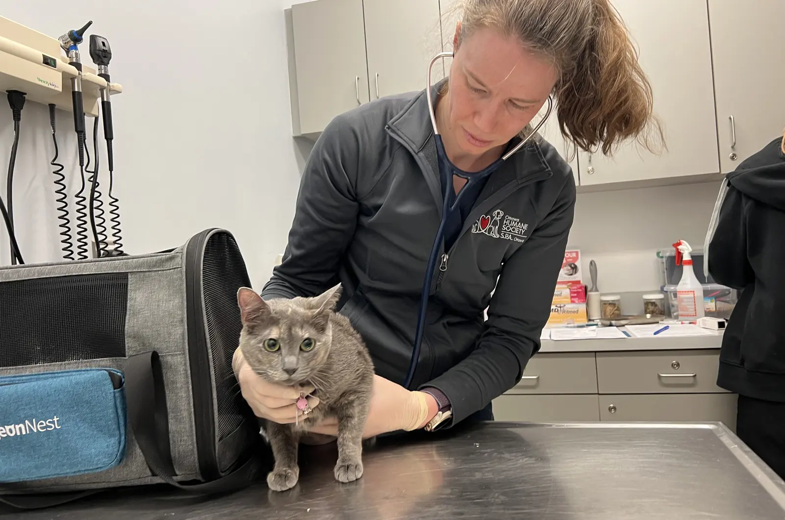 Community Veterinary Clinic