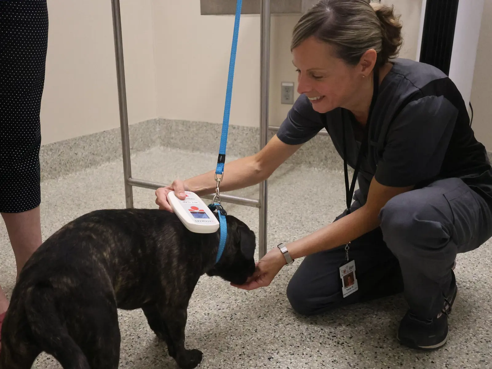 Microchip Clinics - Ottawa Humane Society