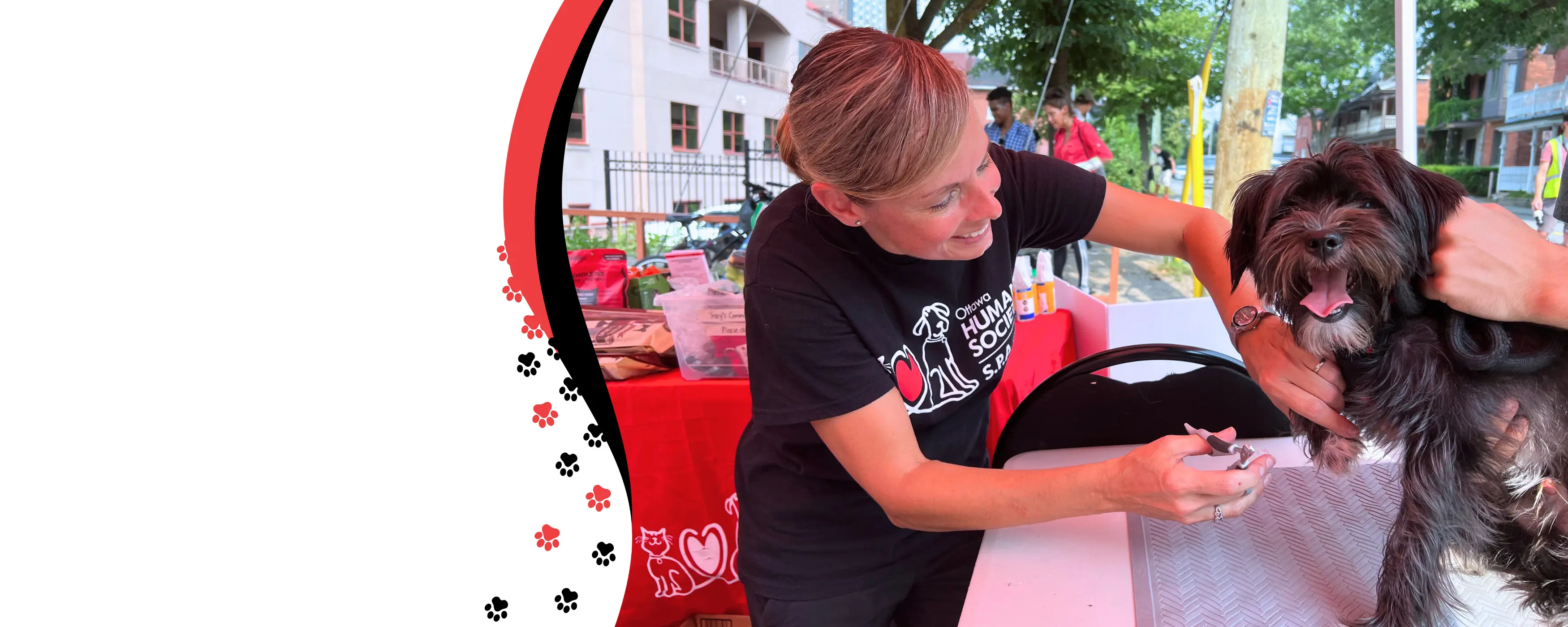 Get Help - Ottawa Humane Society