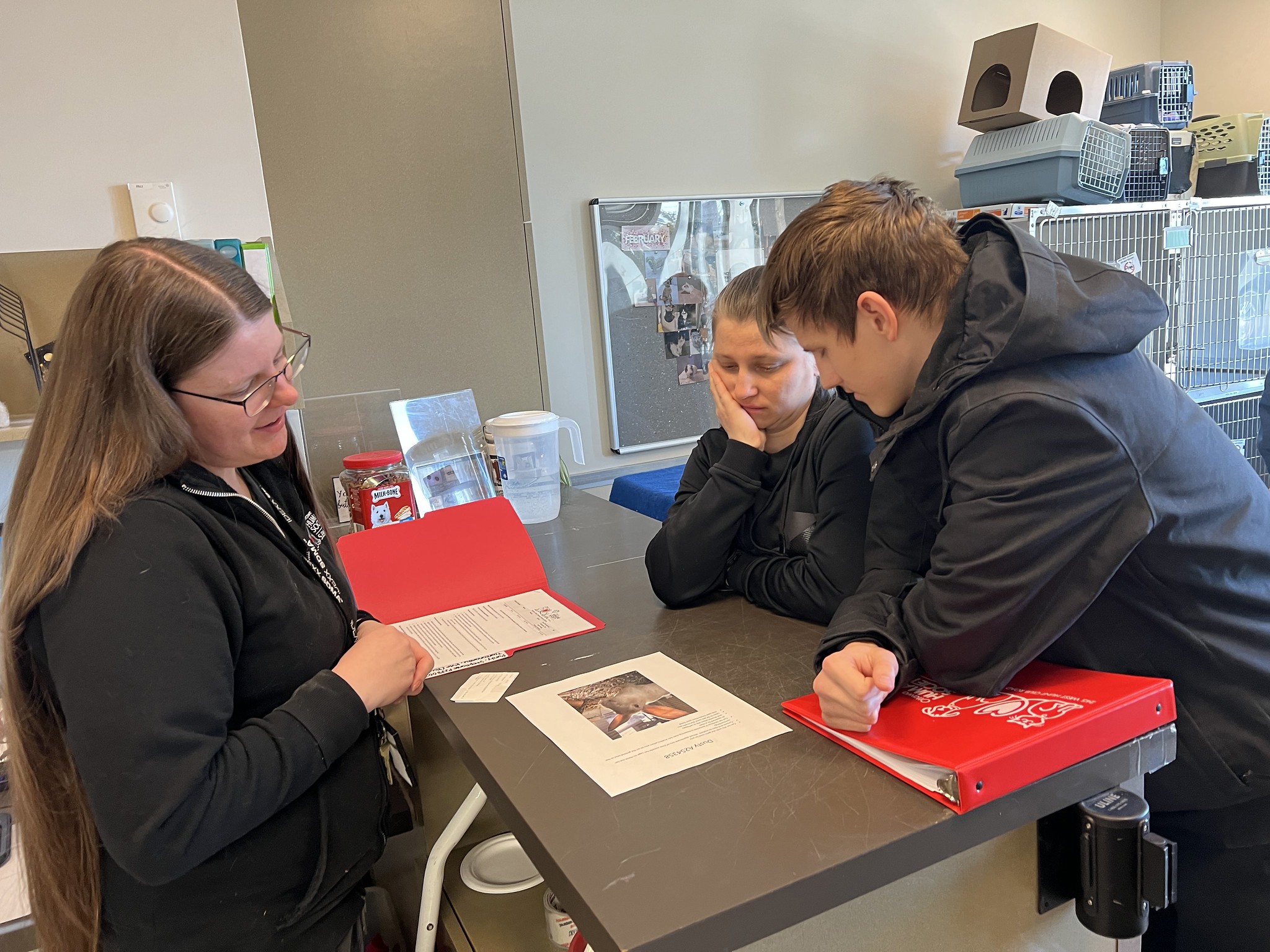 Careers at the Ottawa Humane Society