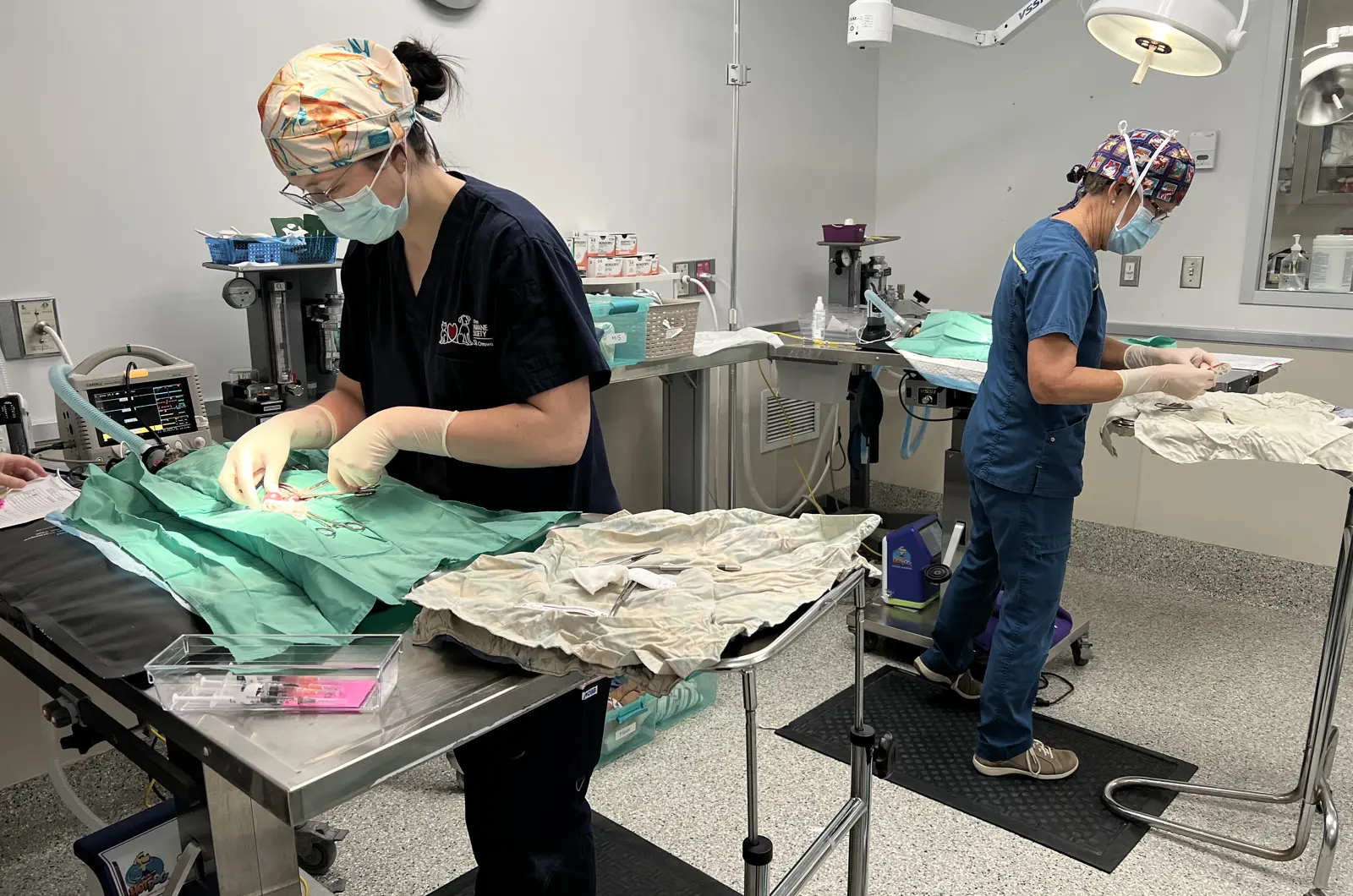 Community Veterinary Clinic