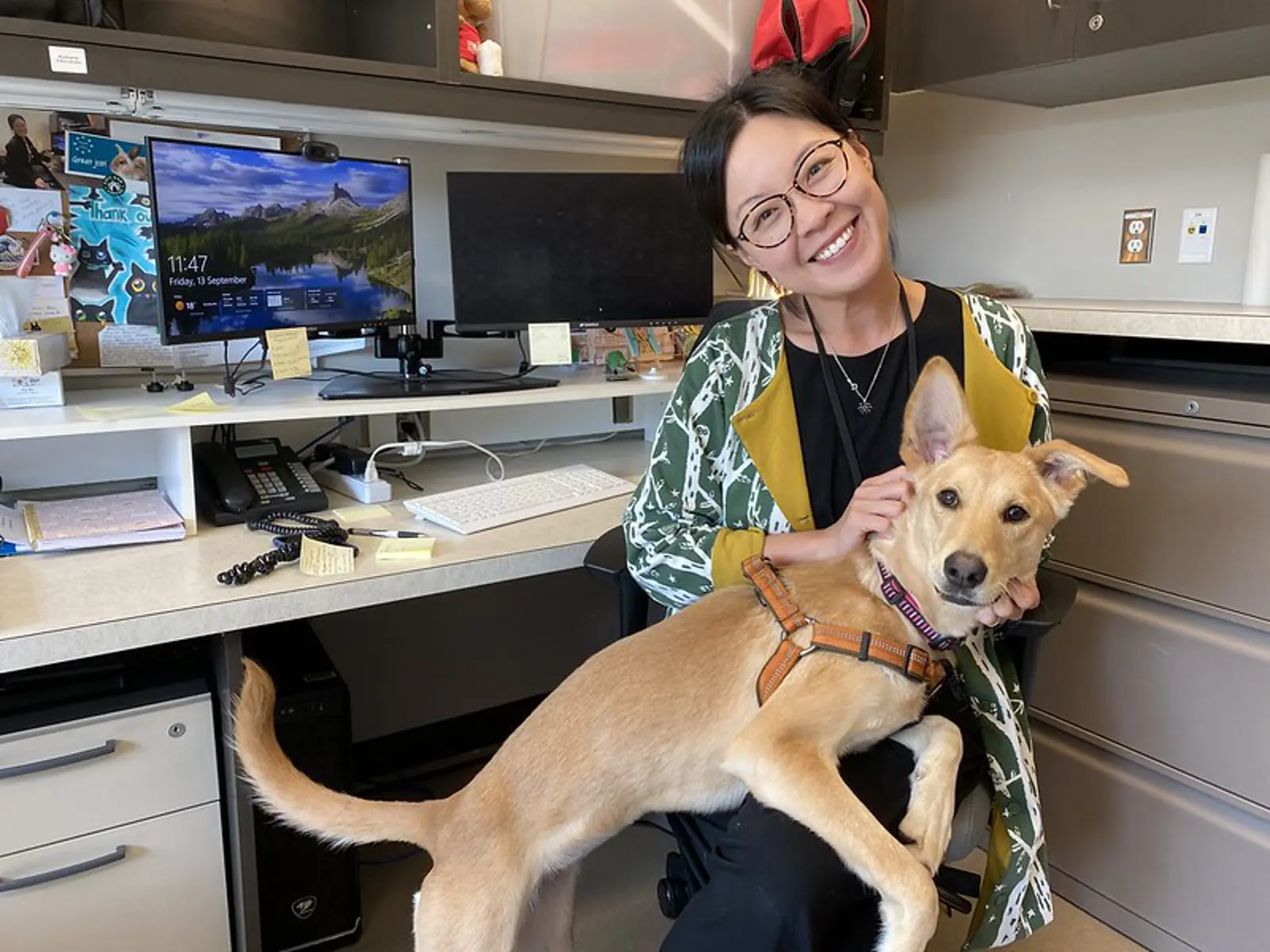 Careers at the Ottawa Humane Society