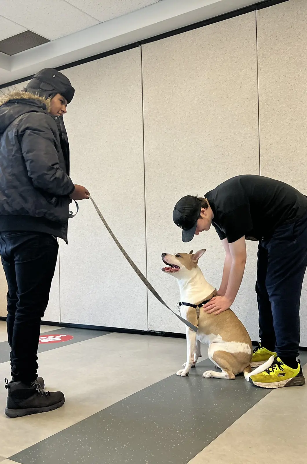 Community Outreach Programs - Ottawa Humane Society