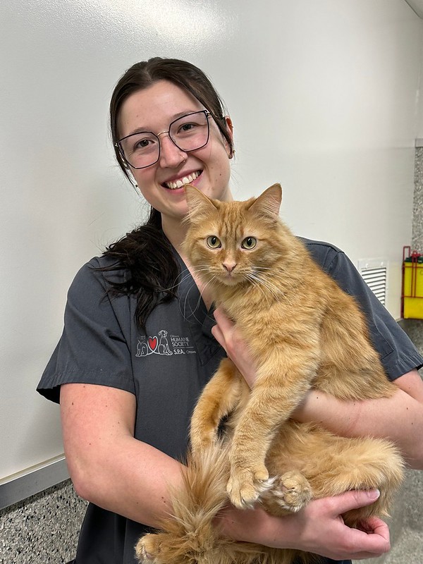 Community Veterinary Clinic