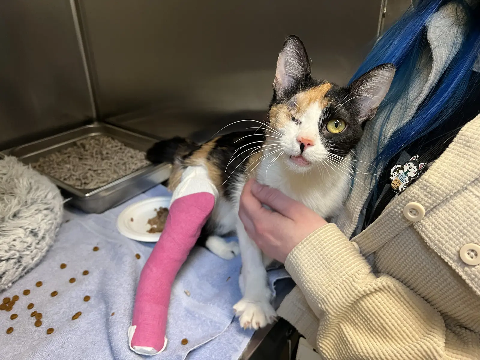 Legacy & Special Gifts - Ottawa Humane Society